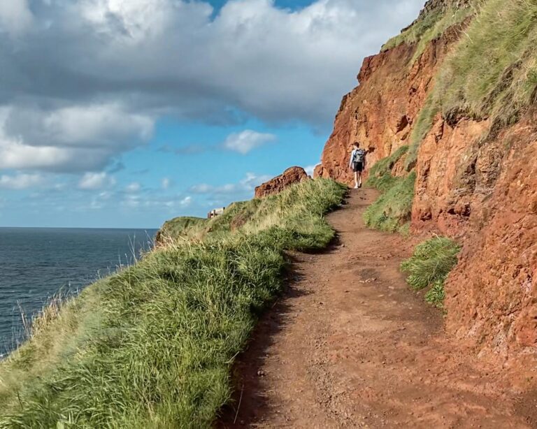 The Giants Causeway Walk: Guide to Parking, Routes & Local Tips
