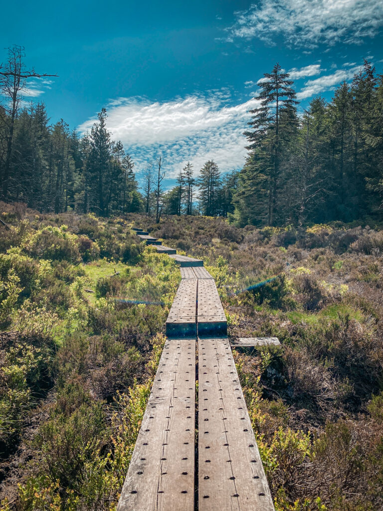 Walks in Dublin: 25+ Dublin Walks You NEED to try! (Locals Guide)