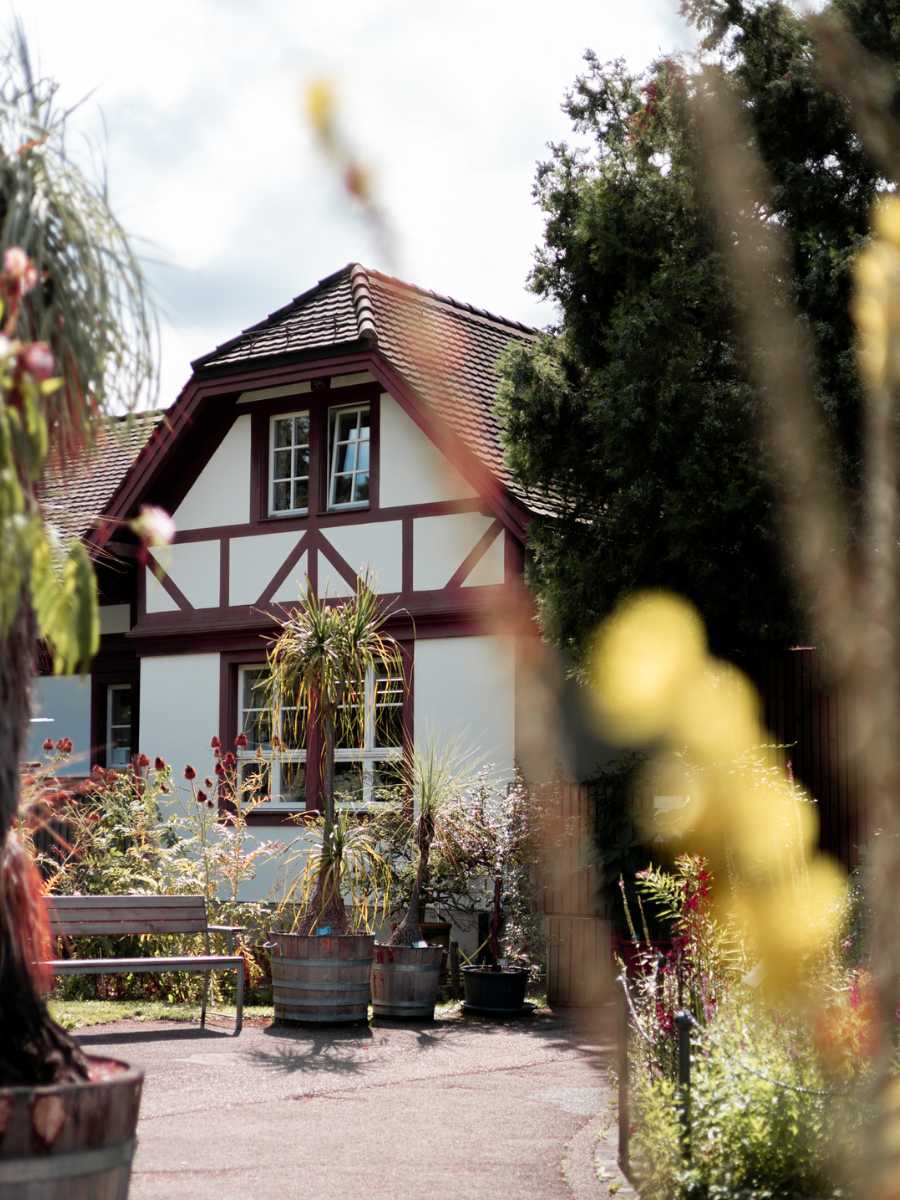 Is Basel Worth Visiting? (The Pros & Cons of the Swiss City)